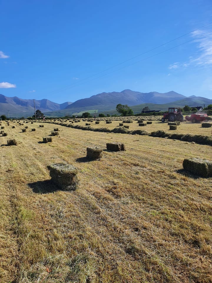 Hayfield View (Cosy Cottage Beaufort) - Dingle-Halbinsel