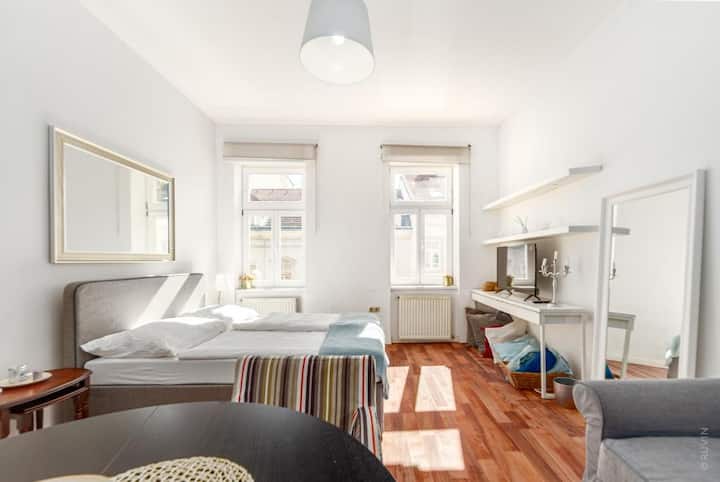 Long Term Rental - 1-br, 5 Min Walk To City Center - Vienna