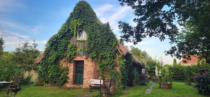 Familienwohnung 1 Mit Kamin - Anklam