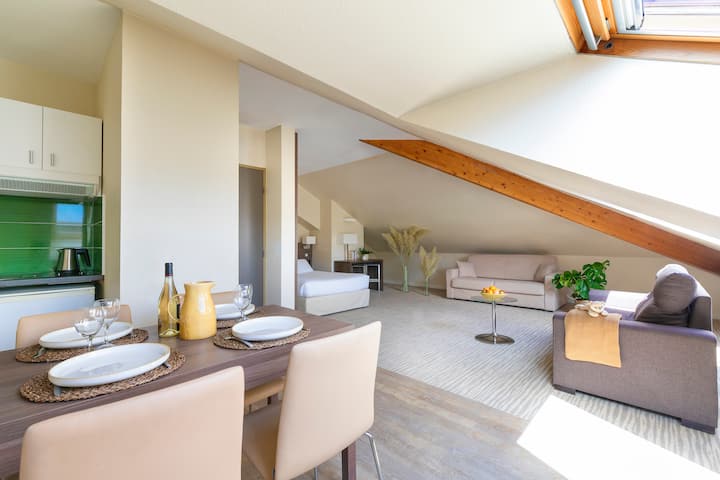 Appartement Centre Ville Vue Montagne - Chambéry