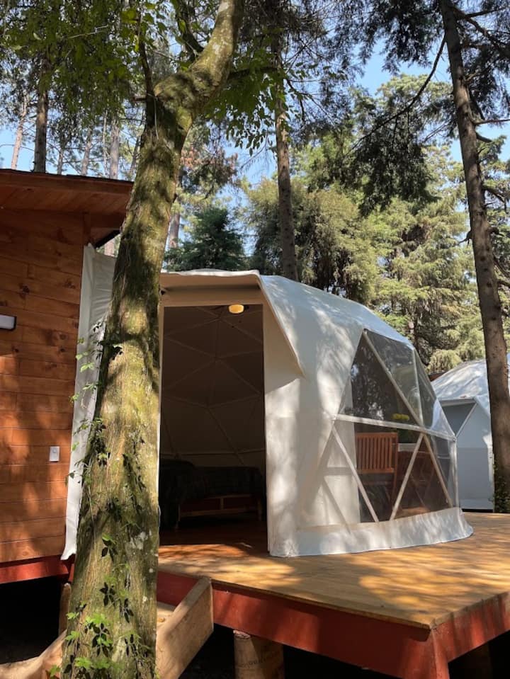 Glamping Monteverde En Confort. - Valle de Bravo