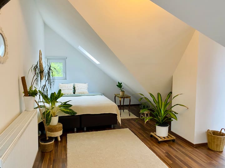 Grüne Oase Für 1 Person - Darmstadt