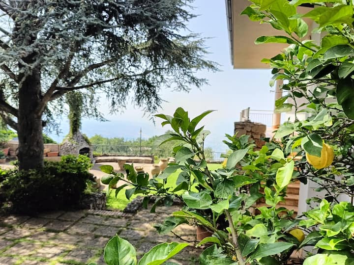 Affittacamere Casa Di Tota - "I Limoni" - Arena