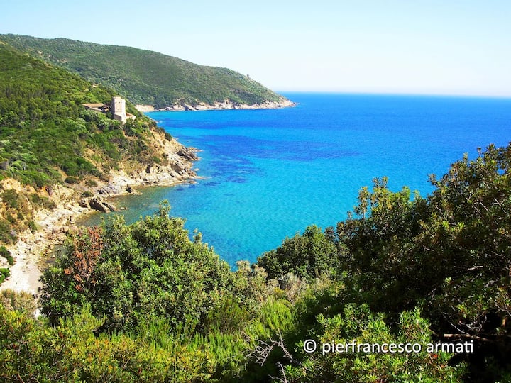 Casa Anita (Wild House) - Orbetello