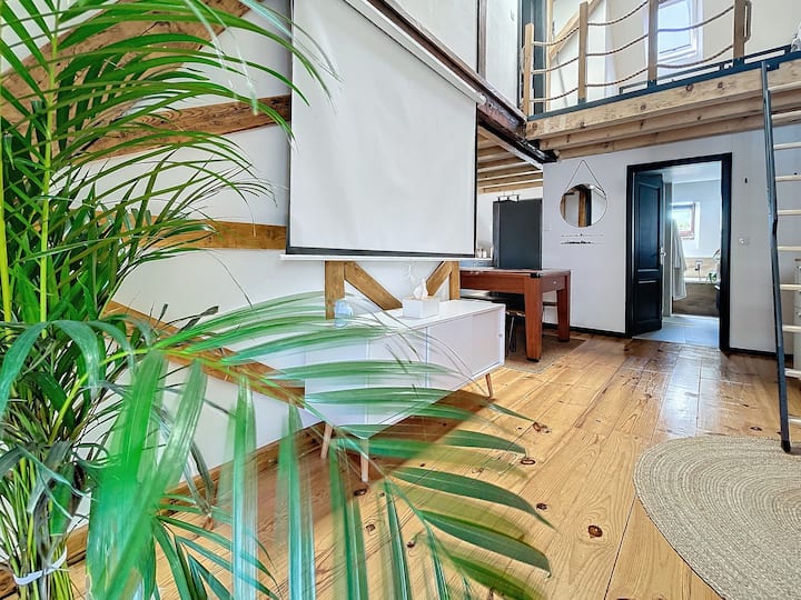 Chambre Dans Un Appartement Alsacien, Pied Du Tram - Strasbourg