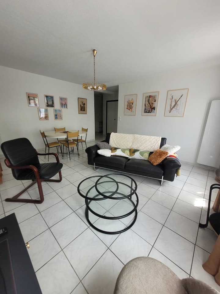 Appartement Hypercentre Avec Parking - Albi