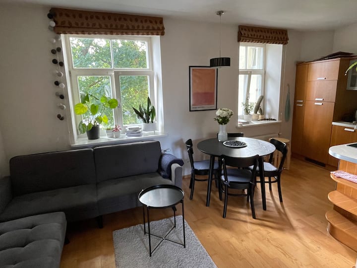 Apartment And Bicycles For Couples And Families - Riga