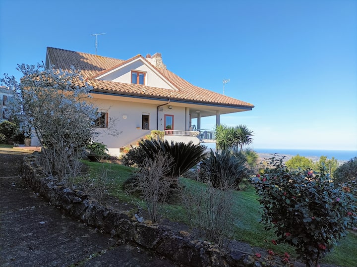 Affittacamere Casa Di Tota - "Le Camelie" - Arena