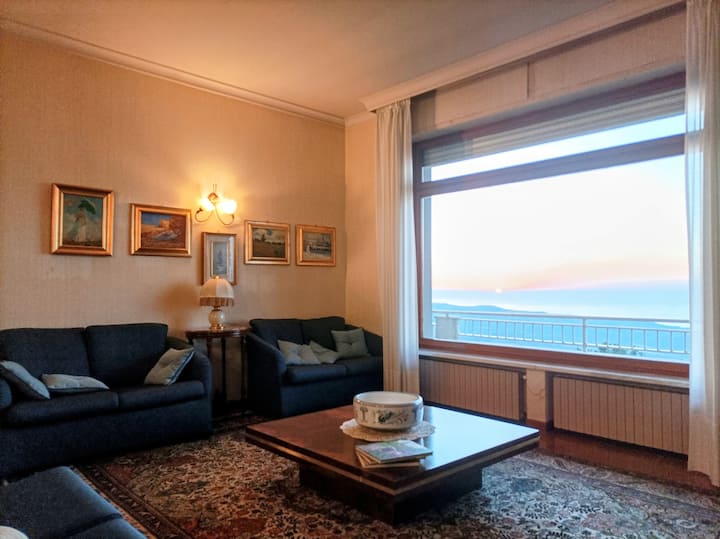 Affittacamere Casa Di Tota - "Le Camelie" - Arena