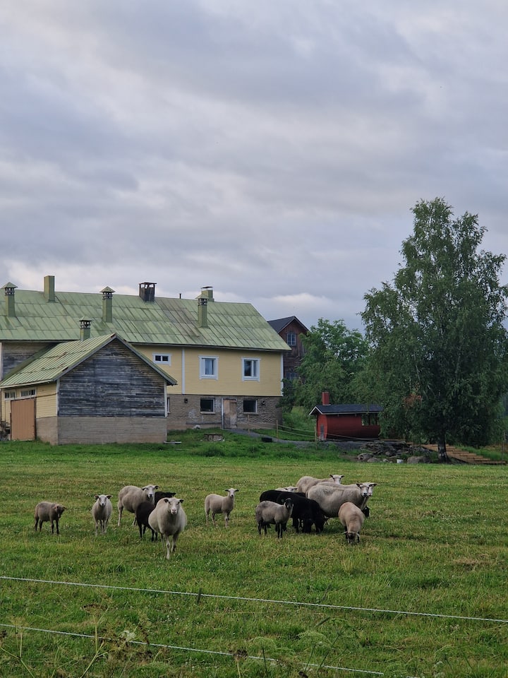 Torppa Järvenrannalla,
Pirkanmaa - Orivesi