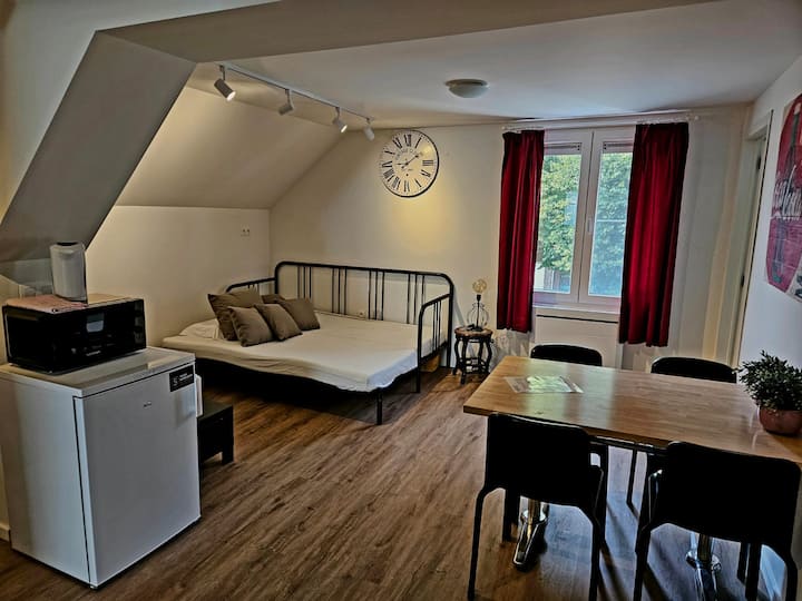 Ruim Appartement In Een Herenhuis Aan Station - Anvers