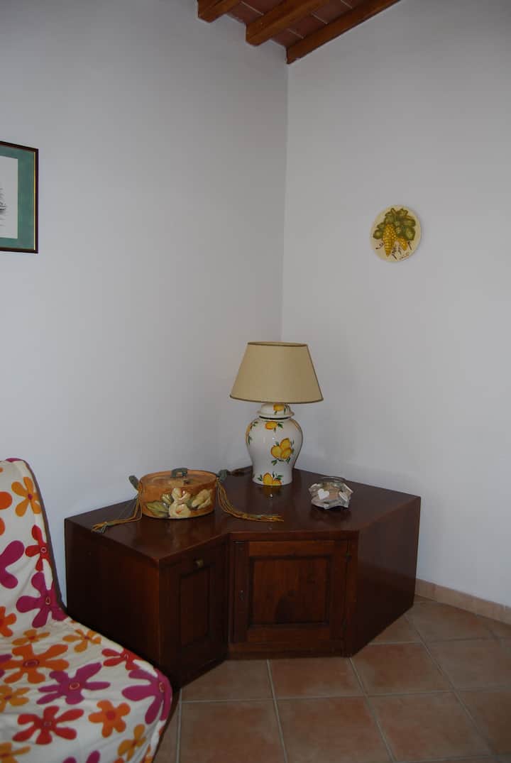 La Carraia: A Big Apartment In The Heard Oftuscany - Volterra