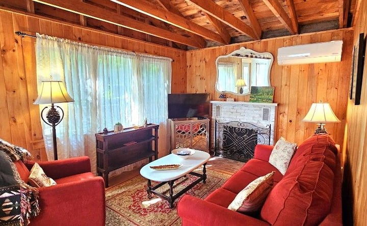 Twin Eagle Cottage/historic Wolfeboro - Wolfeboro, NH