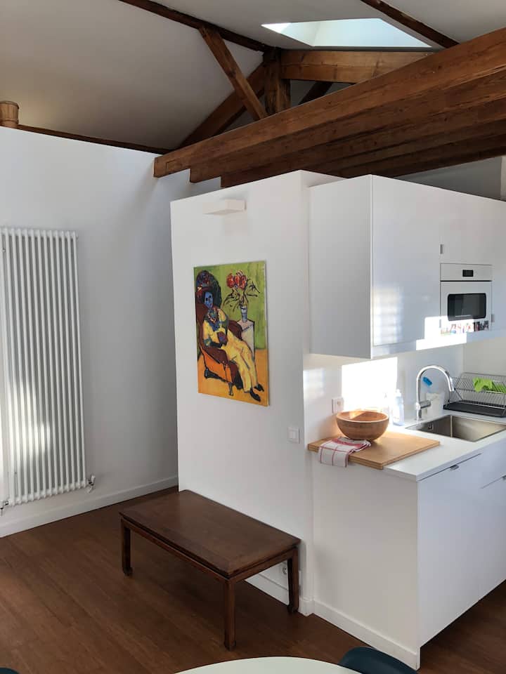 Superbe Appartement Sous Les Toits De Paris - Gentilly