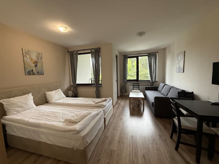 Studio E52 In Borovets Gardens Sleeps 3 - Dolna Banya