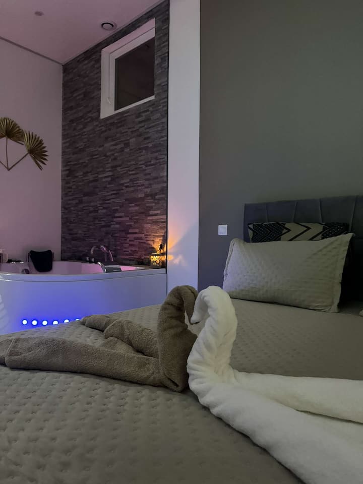 L’amaryllis Suite Climatisé Avec Sauna Et Jacuzzi - Béziers