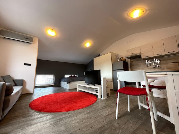 Chic Loft With Open Floor Plan - Liubliana