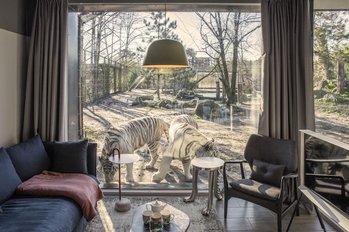 Lodge Tigres Blancs - Pessac