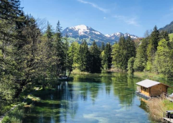 Chalet-houseboat - Zweisimmen