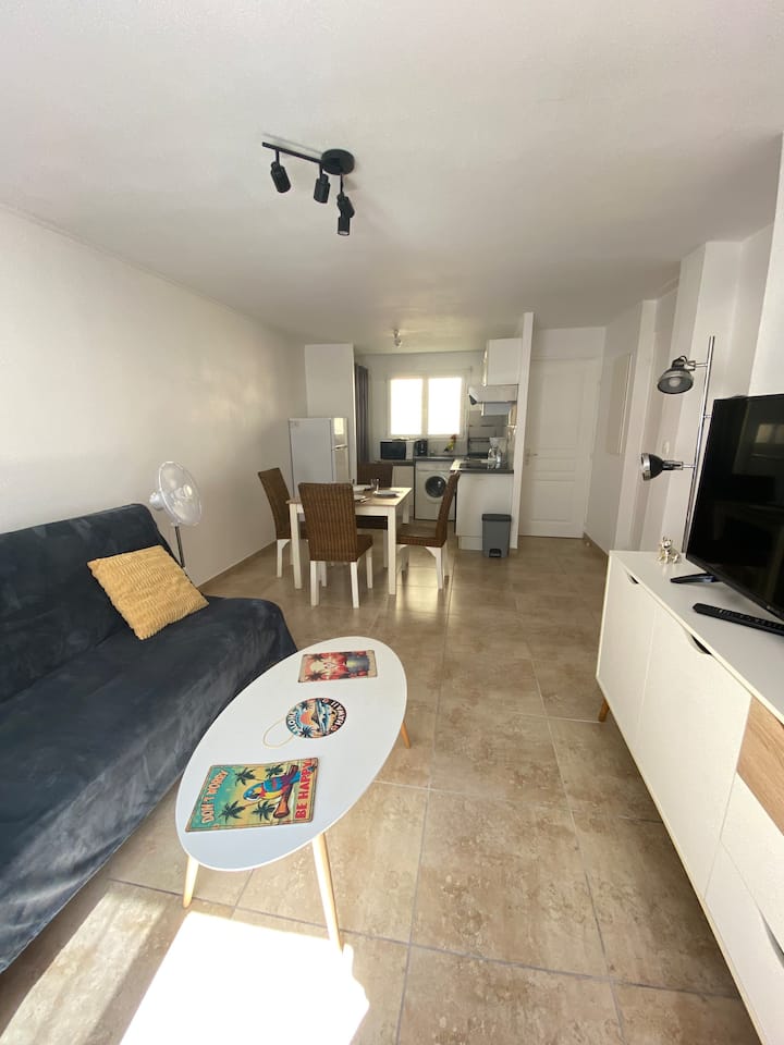 Appartement Centre Village Avec Stationnement - Amélie-les-Bains-Palalda