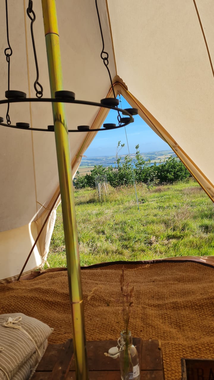 Dandelion @ The Orchard Bell Tent Camp - Salcombe
