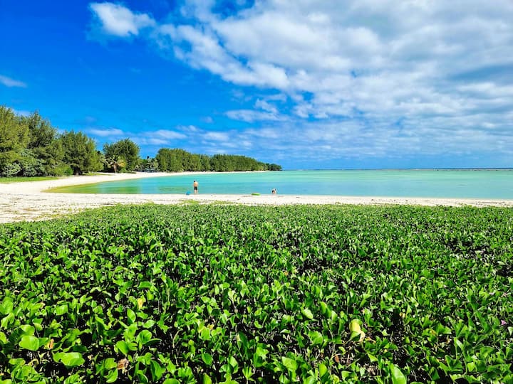 Natura Nikao Beachside 3bm Villa - Cook Islands