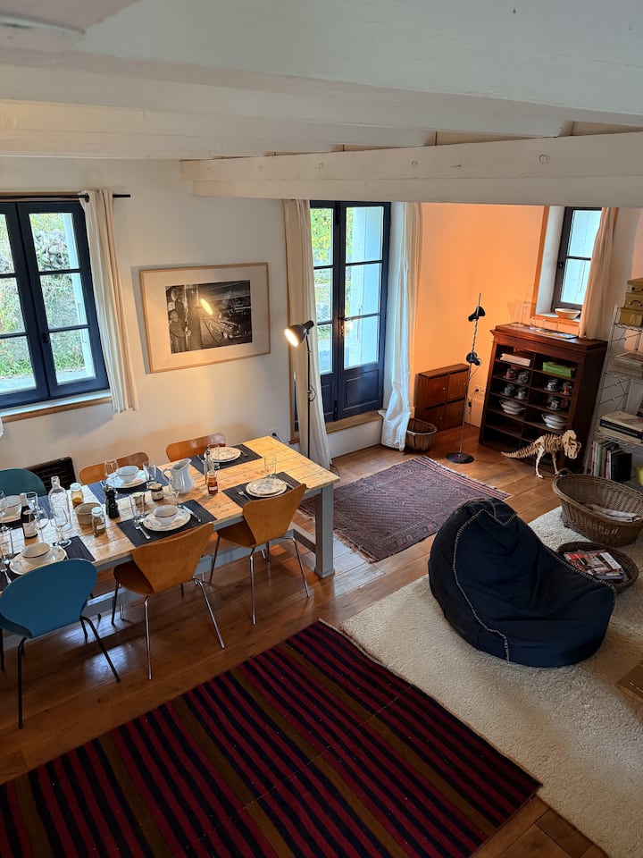 Maison De Charme Près De Genève, Vue Et Terrasse - Gaillard