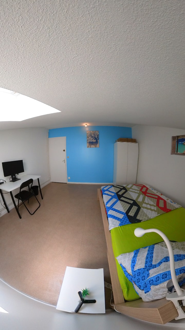 Appart Rue Pietonne, Parking A 50 M, Wifi Gratuit - Roanne