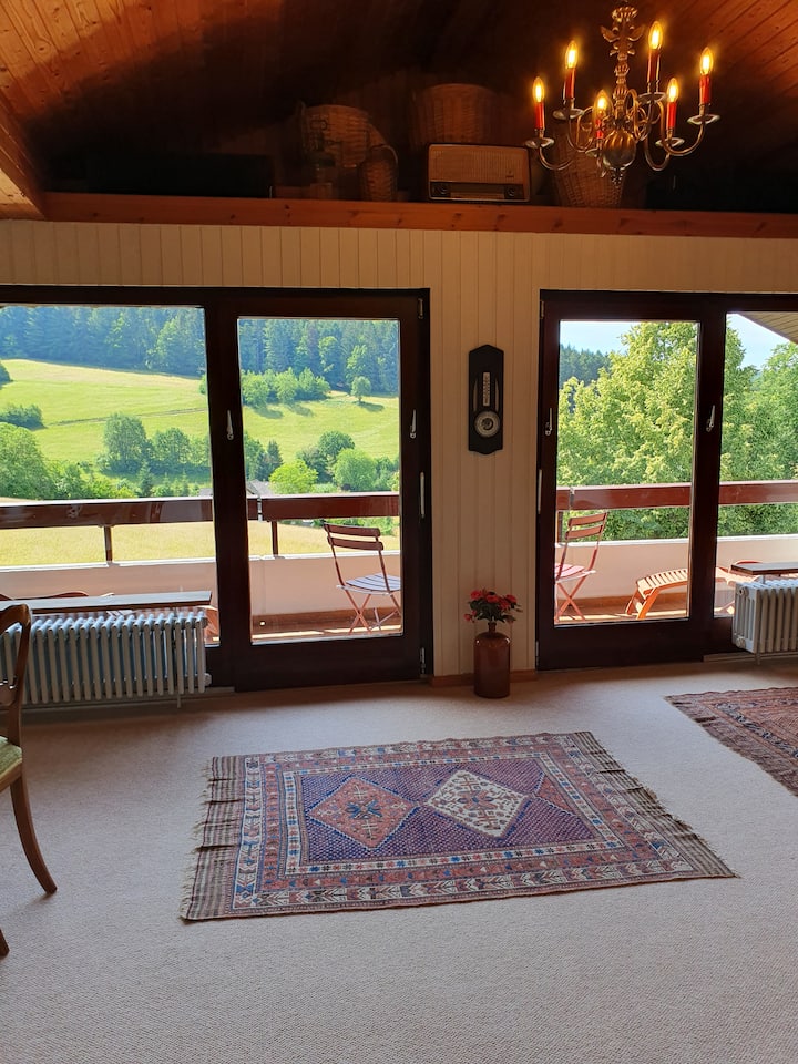 Villa Schwarzwaldblick Fewo - Lahr/Schwarzwald