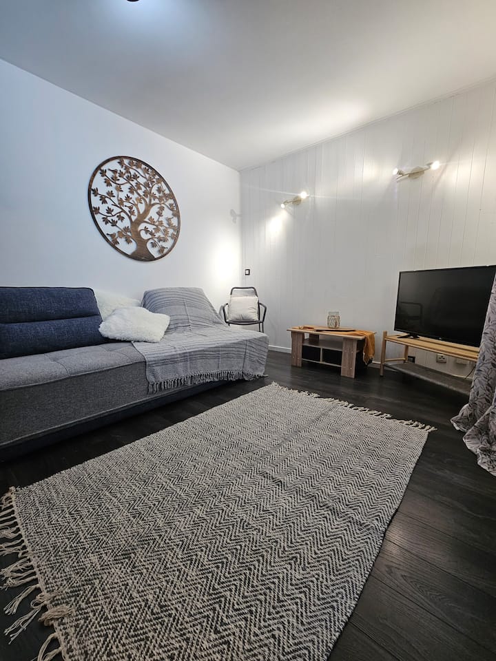 T4 Cosy "Chemin Sous Bois" Proche Du Lac - Aix-les-Bains