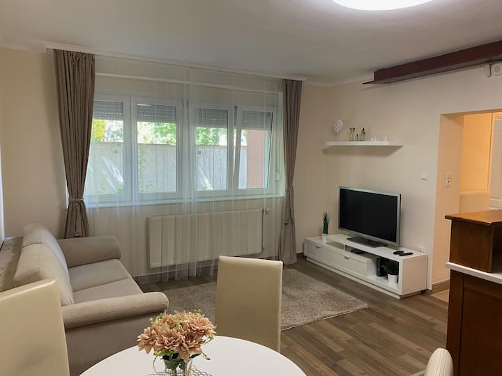 Vio Art Apartman - Székesfehérvár