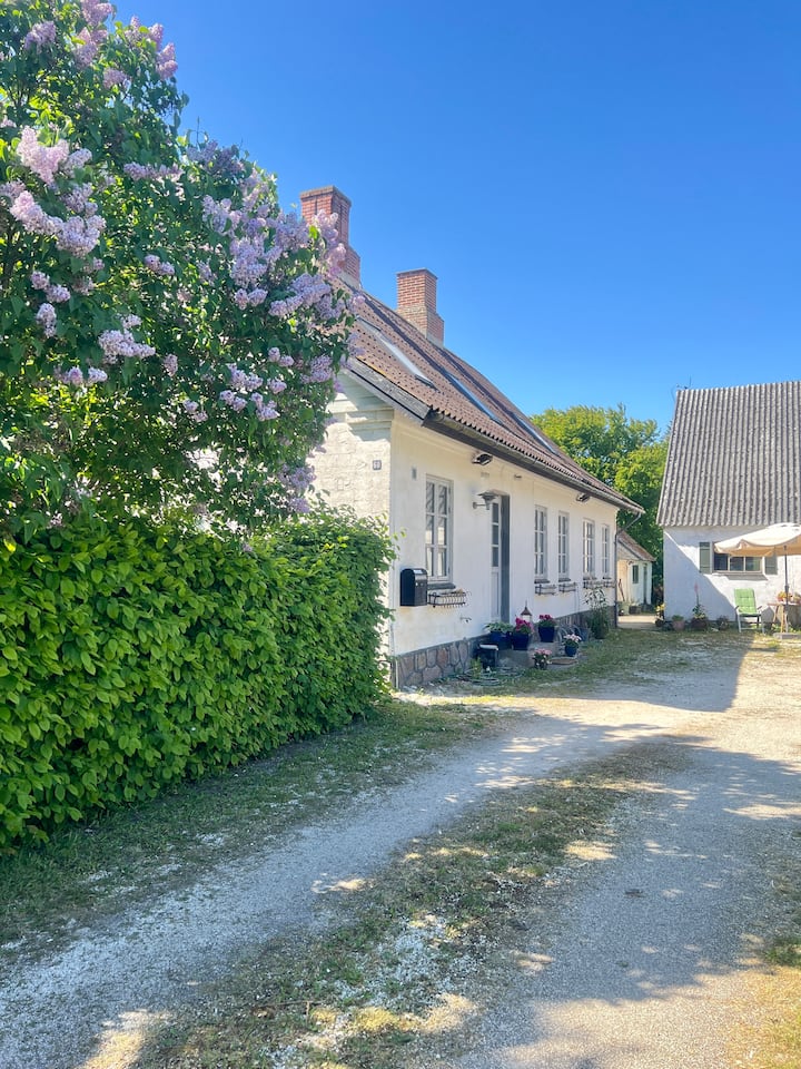 Stay At Bolette’s Farm With Chicken-rabbit 2r. 5 P - Denmark