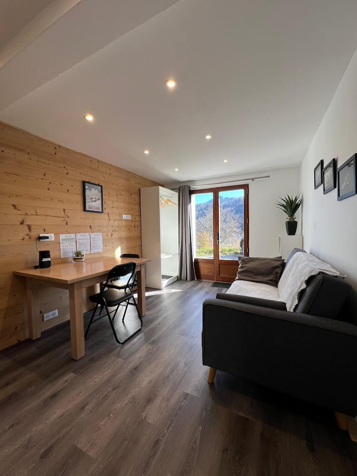 Appartement F2 Dans Un Chalet - Haute-Savoie