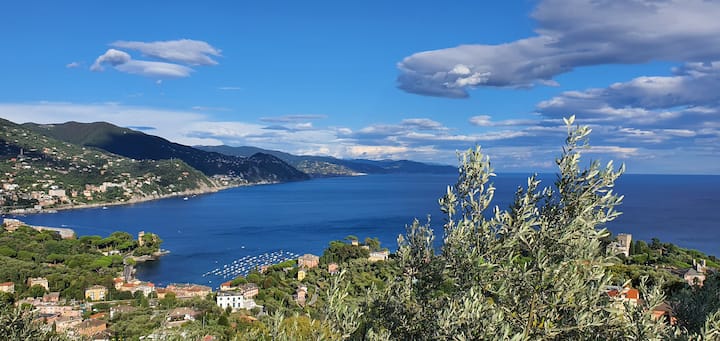 Caraluna Vacanze - Rapallo - Portofino