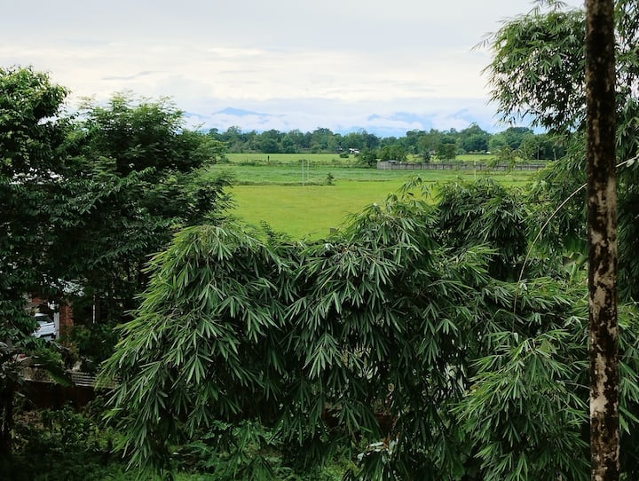 Abode Of Peace. - 