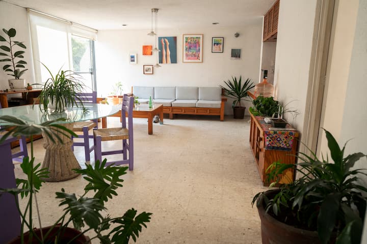 Room In Escandon Ii (South Condesa) - Mexico City