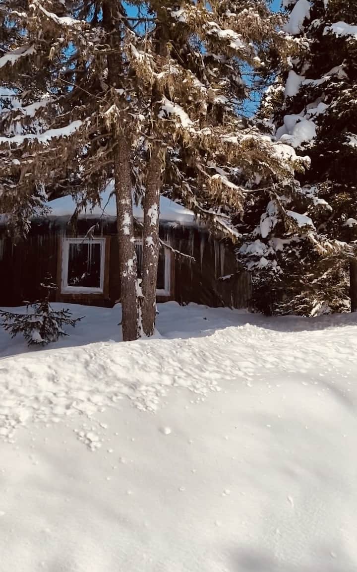 Yourte Expérience Charlevoix-céphée - La Malbaie