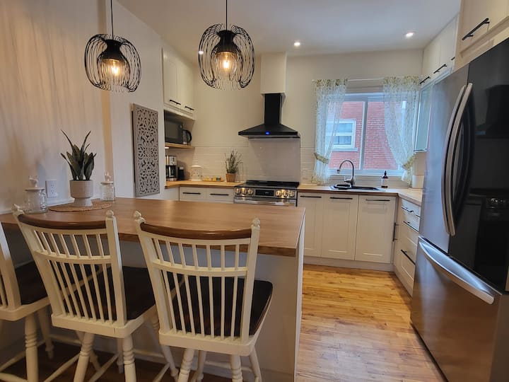 Double Terrasse · Borne Arcade · Bbq · Proche Bus - Laval, Quebec, Canadà