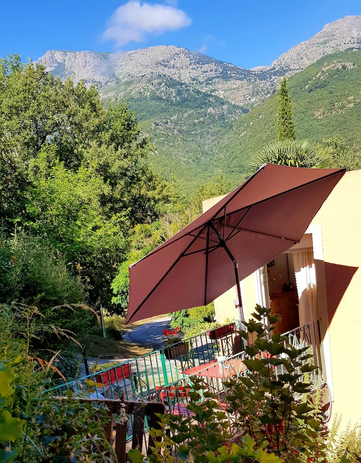 Appartement Villa Montagne Haute Corse - Alando