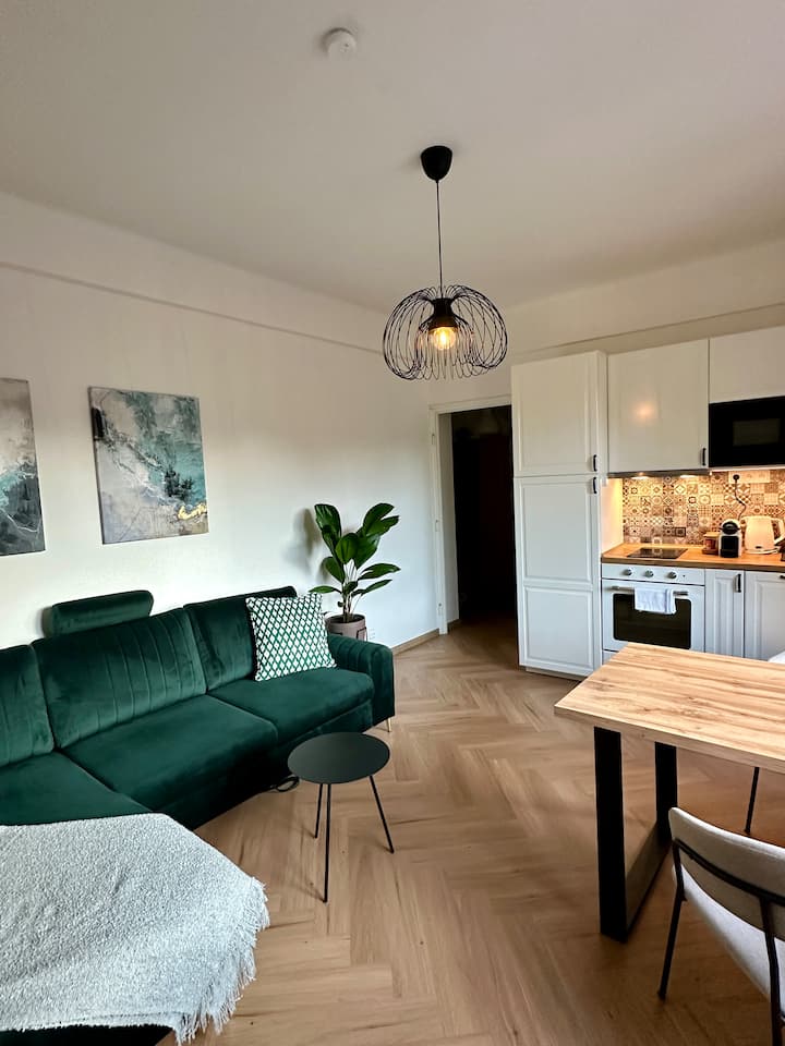Cozy New Apartment In The Center - Prague