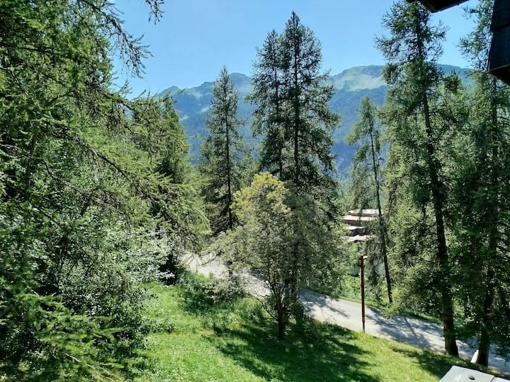 20 Min Lac Serre-ponçon, 4 Pers, Sud, Vue Pinède. - Les Orres