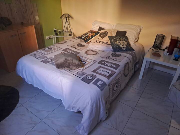 Chambre Climatisée, Esp Commun Partagé - Carnon