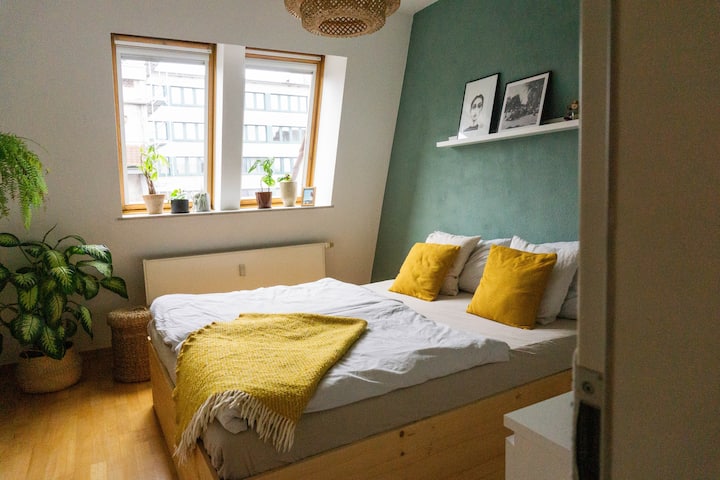 Schöne Wohnung Zentral In Köln - Cologne
