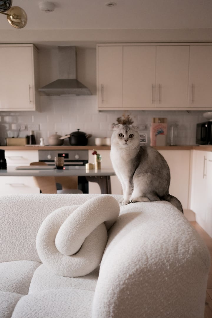 Newly Renovated Shoreditch's Flat With Park View - London