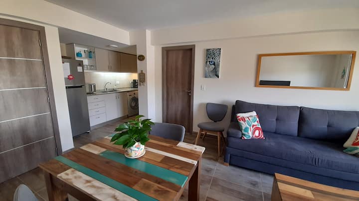 Mirando A Los Cerros, Departamento Centrico - Argentina