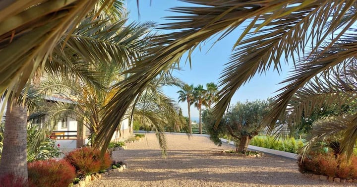 Cortijo El Olivo Motril - Motril