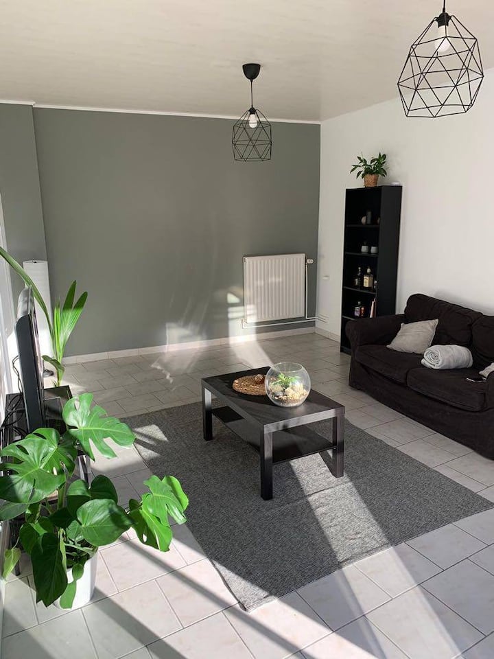 Detached House 3b.r In Wallonia - Charleroi