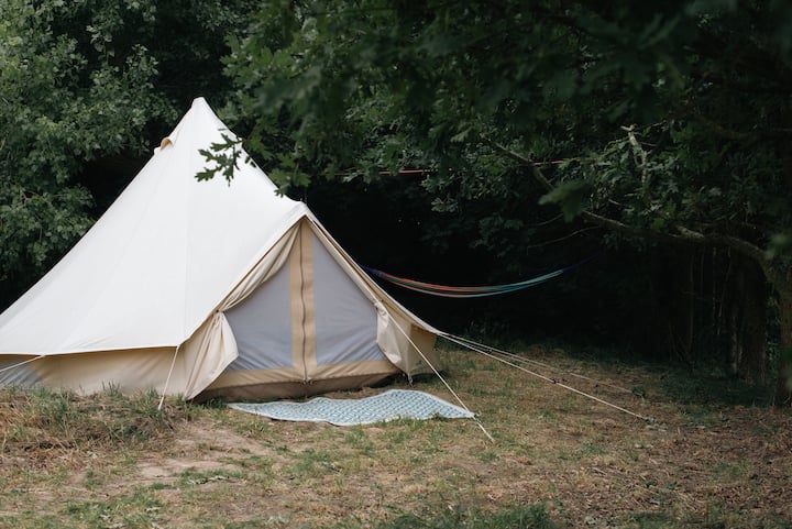 Een Paradijs In De Vlaamse Ardennen- Populier - Flobecq