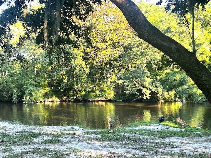 1926 Guest Cottage At The River - Abita Springs, LA