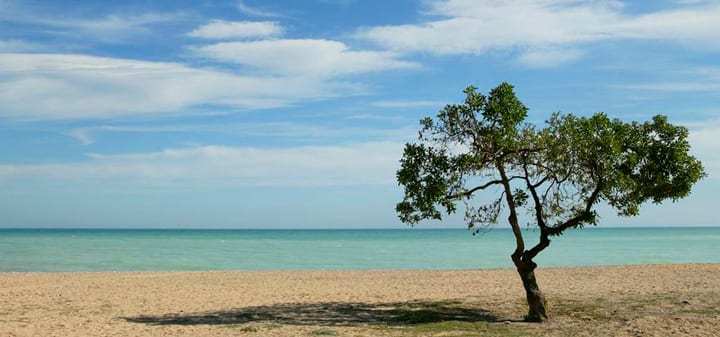 Apartamento Grao De Moncofa - Moncófar